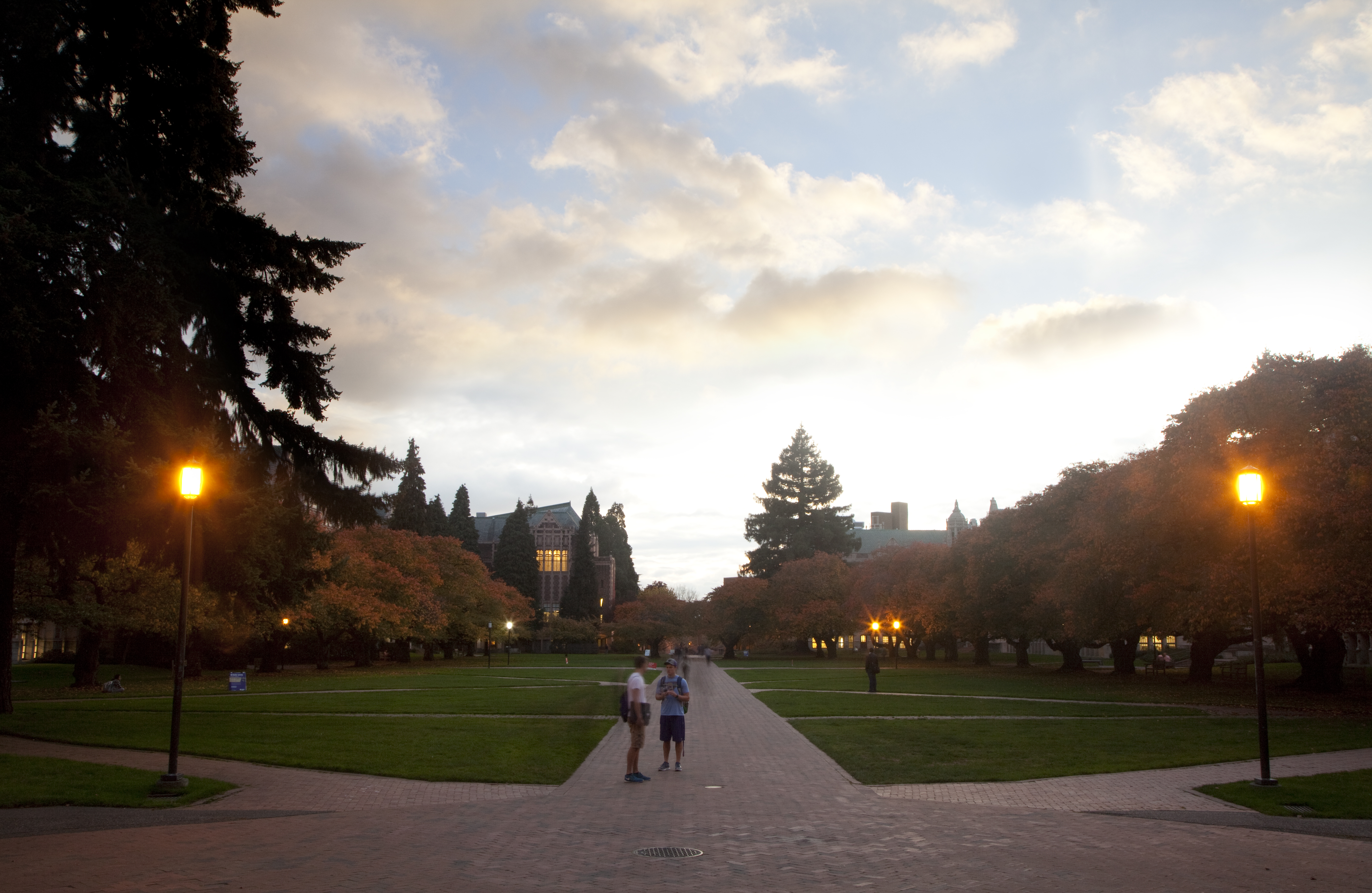 Photo by Katherine Turner. Fall in the Quad. – Blythe Adamson, PhD, MPH